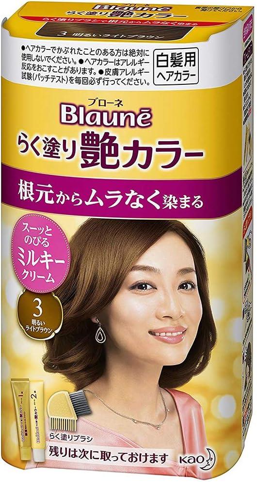 Kao Blaune Easy Painting Gloss Hair Color - 3 Bright Light Brown (Green ...