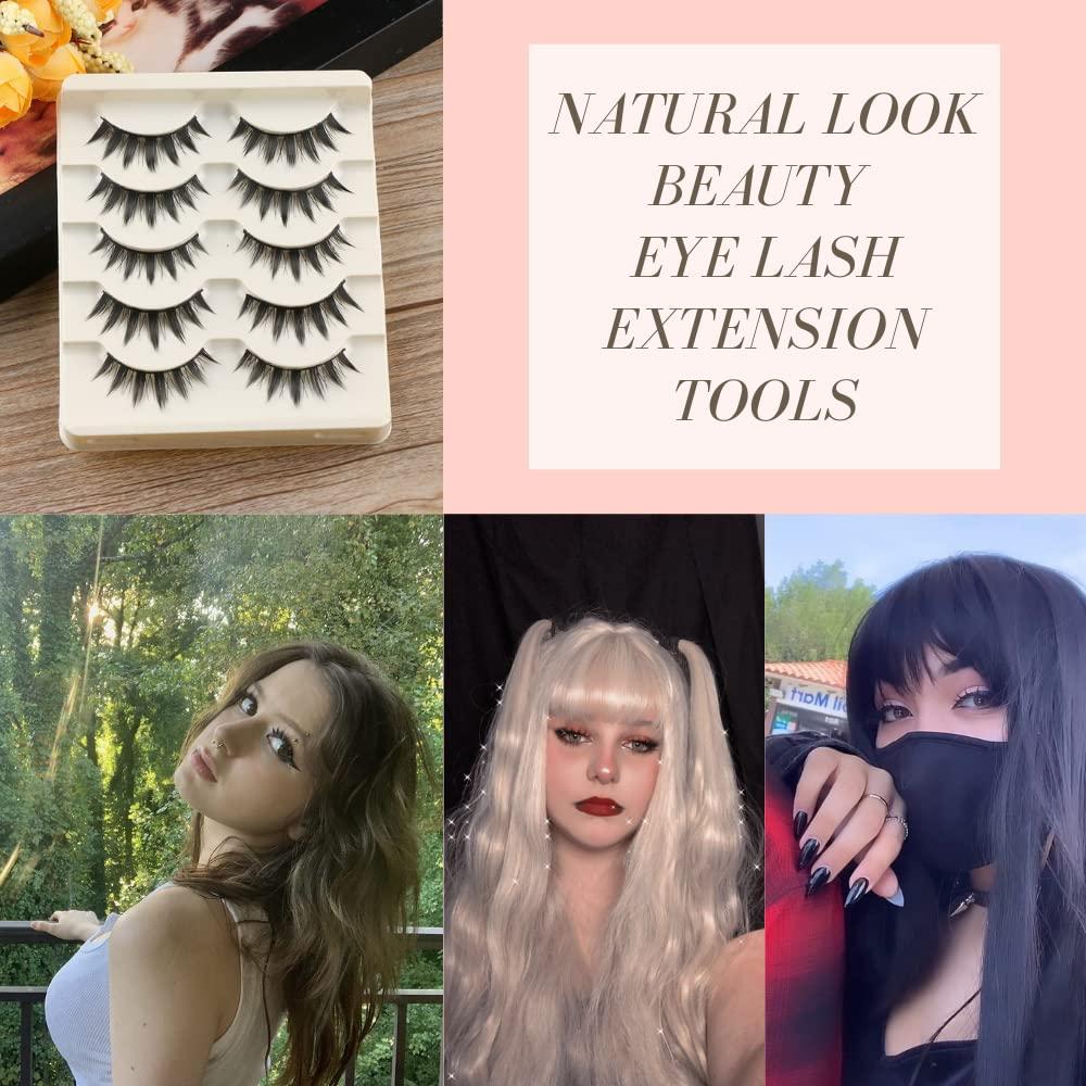 Okdeals 5 Pairs Japanese Style 3D Fluffy Spiky Eyelashes - Little Devil ...