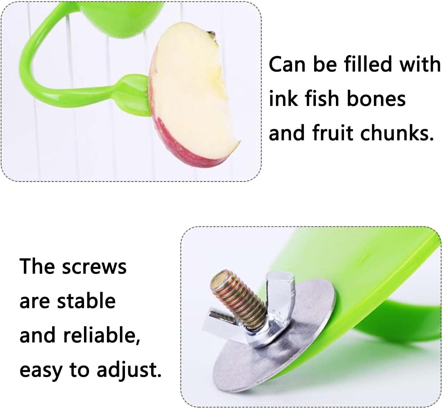 2 Pcs Cuttlefish Holder Cuttlefish for Birds Parrot Stand With Feeding ...