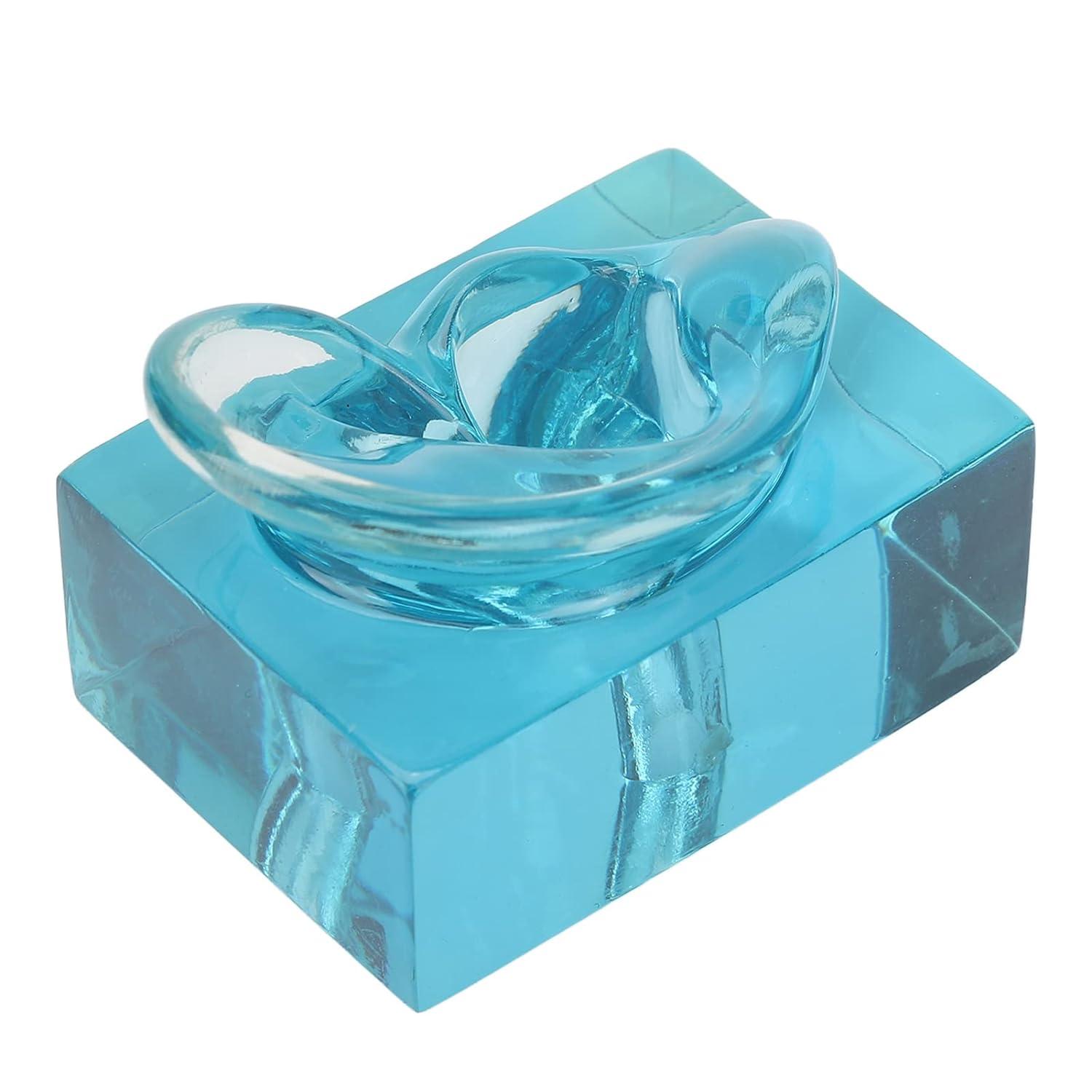 Acrylic Blue Transparent Waterproof Fake Right Ear Model for Sound Aid ...