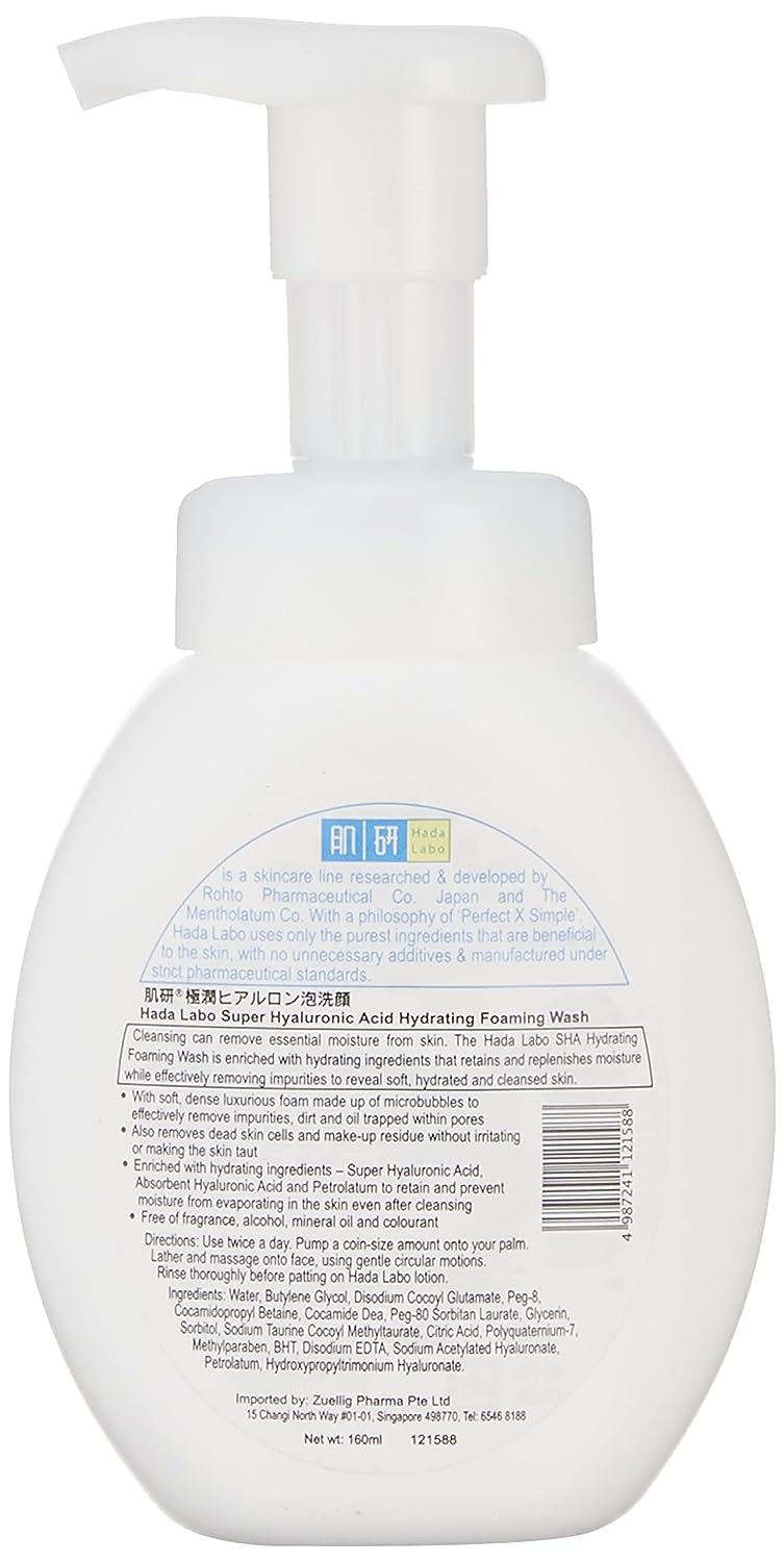 Hada Labo Rohto Gokujyn Hyaluronic Acid Cleansing Foam 160ml - Gentle ...