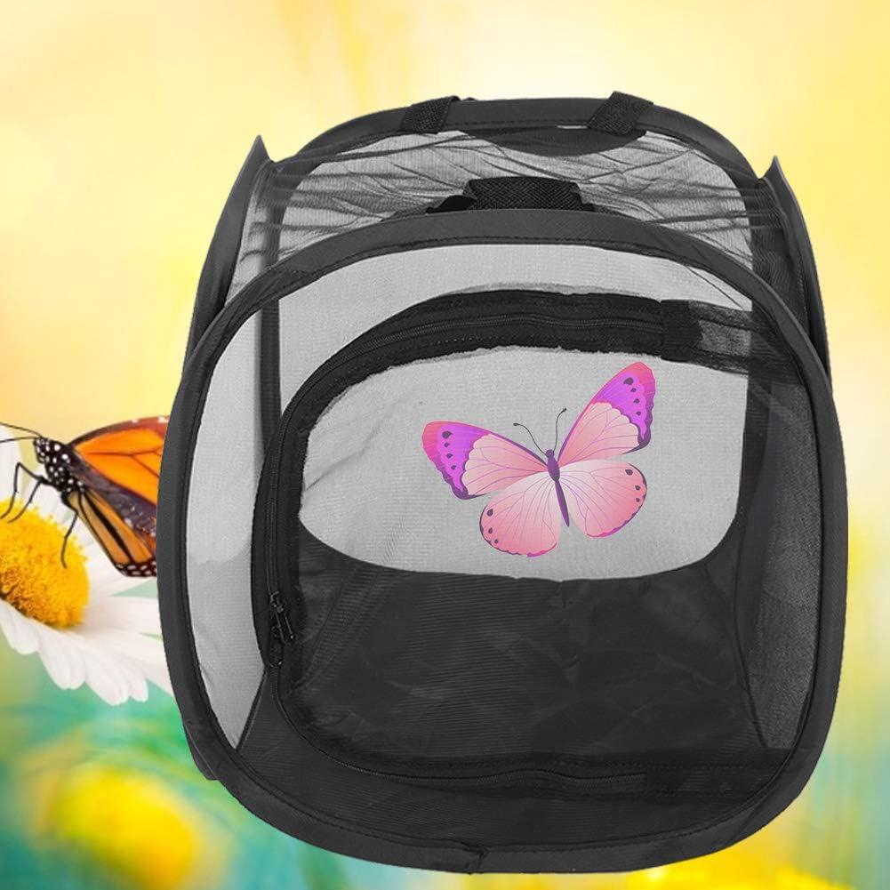 Insect Cage Insect Mesh Cage Enclosure Breeding Cages for Insects | Buy ...