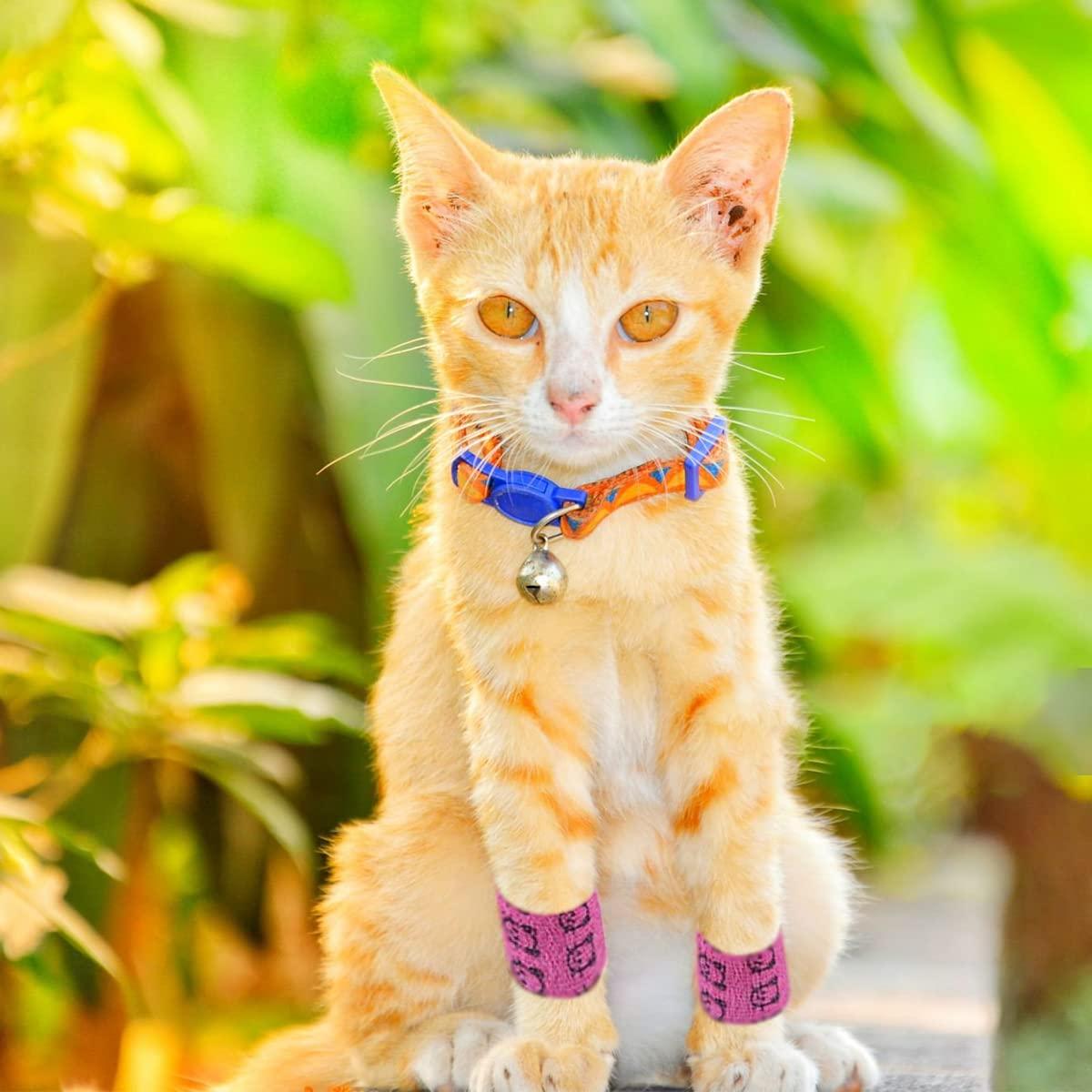 JpGdn 24 Roll Vet Wrap Bandages for Dogs Horses 5cm*4.5m Cohesive ...
