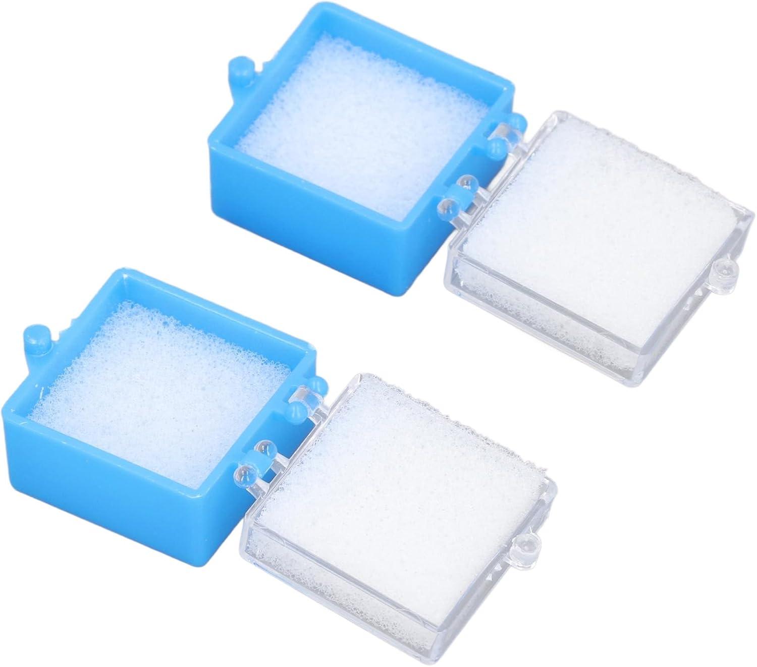 20-Piece Tooth Crown Boxes with Foam - Plastic Tooth Bridge Boxes for ...
