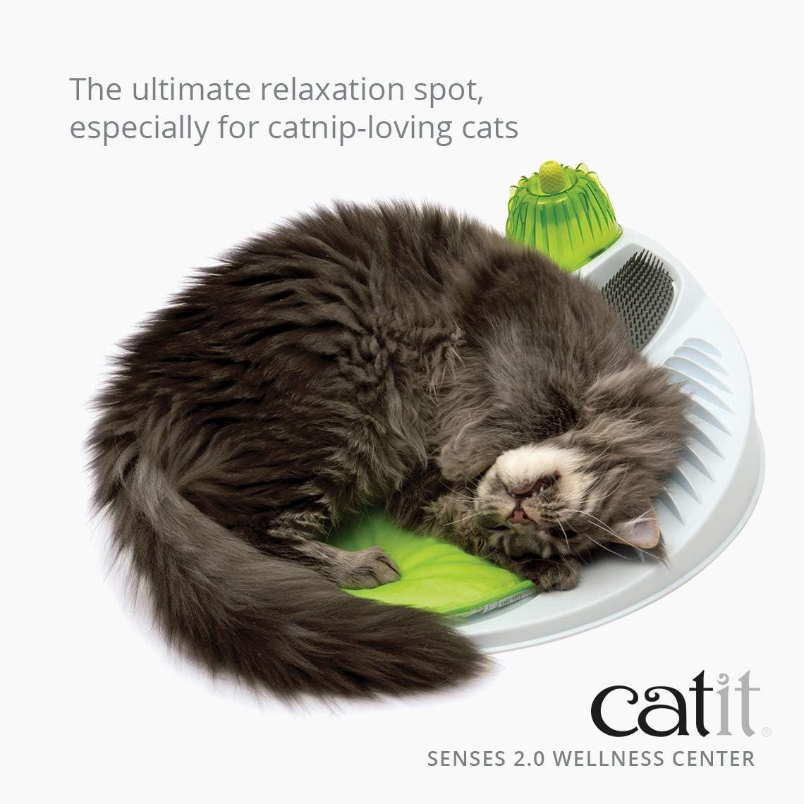 Buy Catit Wellness Center & Design Senses Super Roller Circuit ...