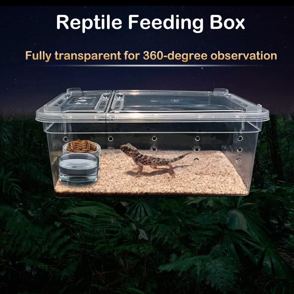 8 Pcs Reptile Feeding Box Set - Ideal for Bearded Dragons, Geckos ...