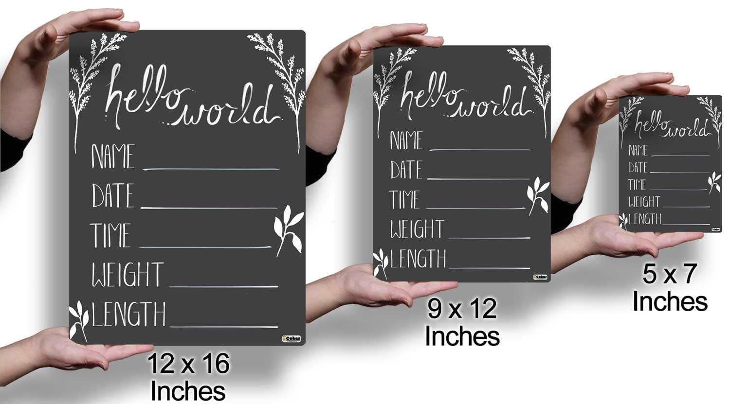 Cohas Hello World Newborn Baby Announcement Wood Sign with Monster ...