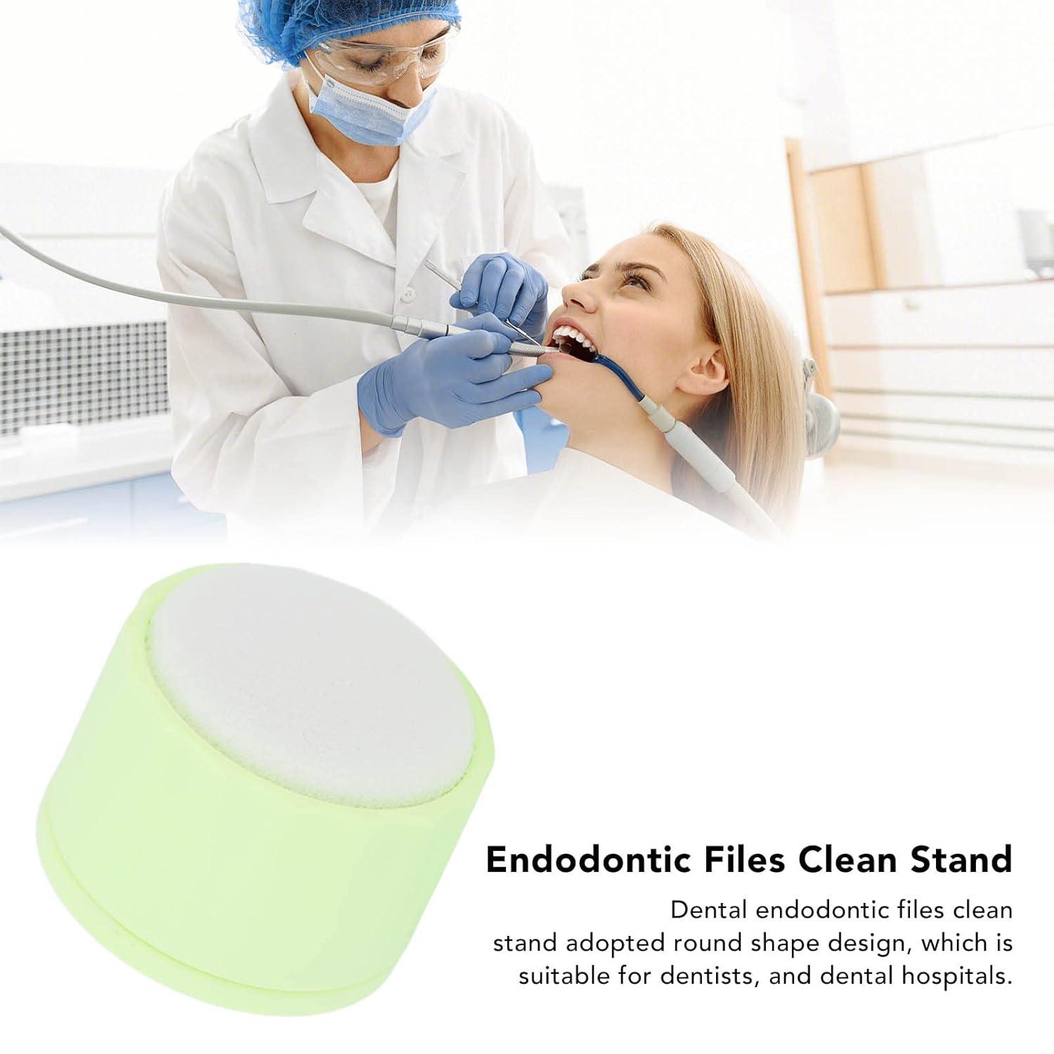 Endo Files Clean Stand | Heat Resistant Endodontic File Holder | Green ...