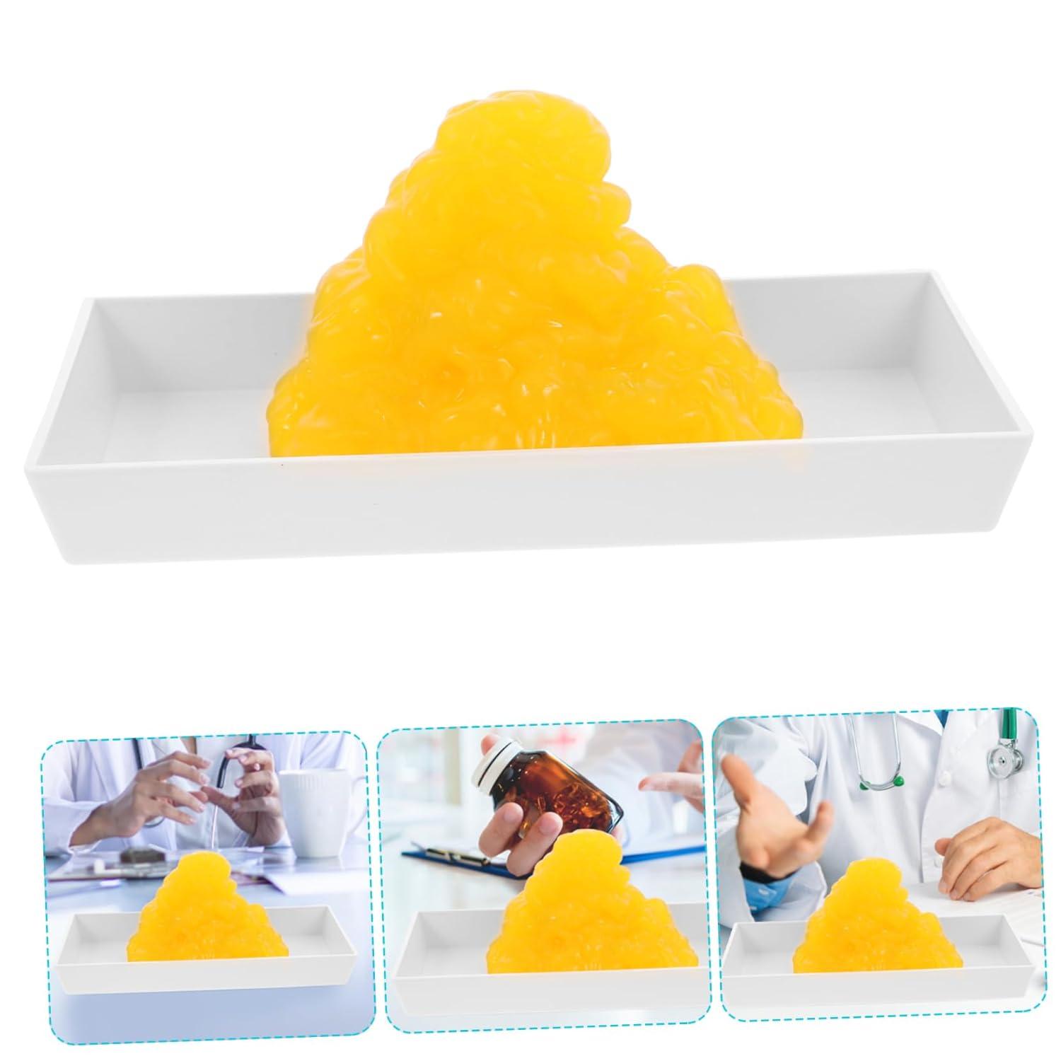 Gatuida Fat Model Models Nutritionist Display Body Fat Manikin Teaching ...