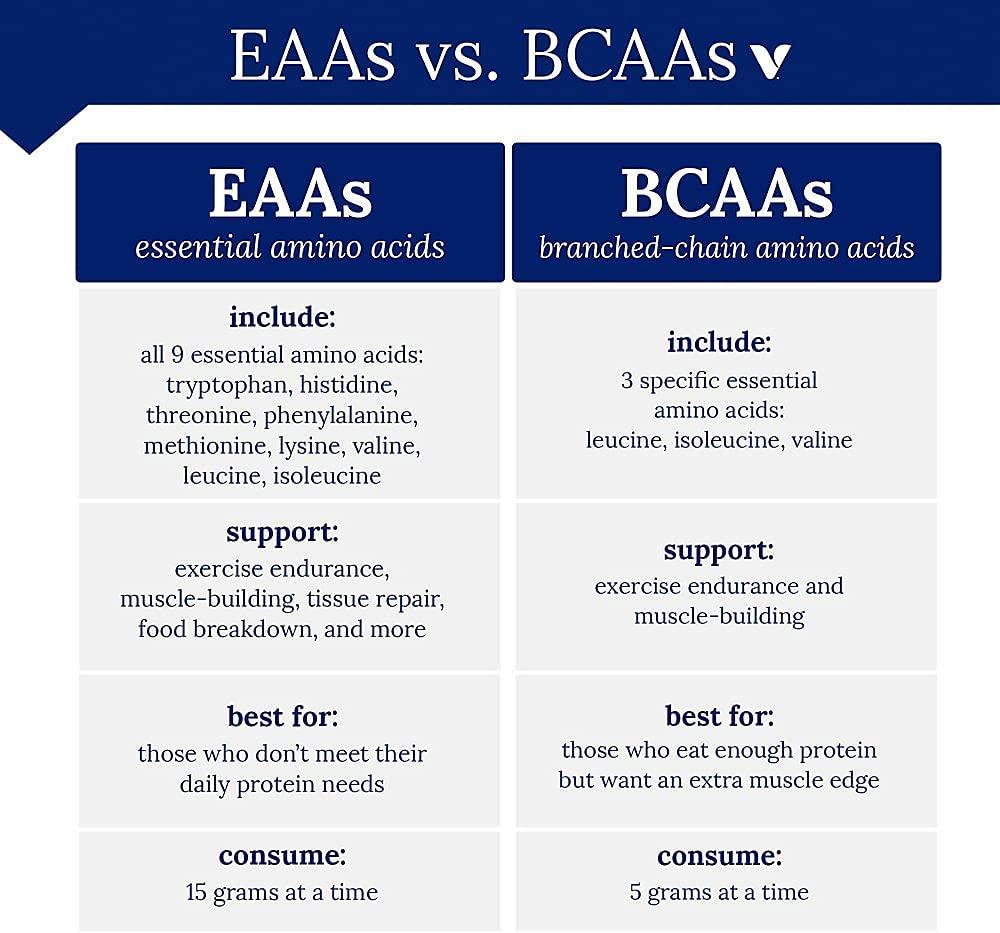 BodyTech BCAA Fruit Punch Powder - 11.5 Ounce (Pack of 1) | 2:1:1 Ratio ...