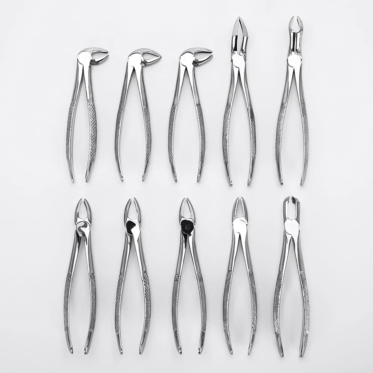Stainless Steel Dental Extraction Forceps Set - 10pcs Tooth Extracting ...