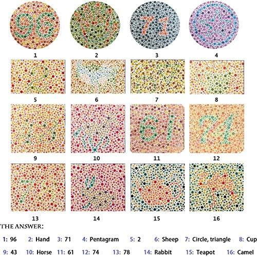 Color Blind Glasses for Color Blindness Correction - Red/Green Vision ...