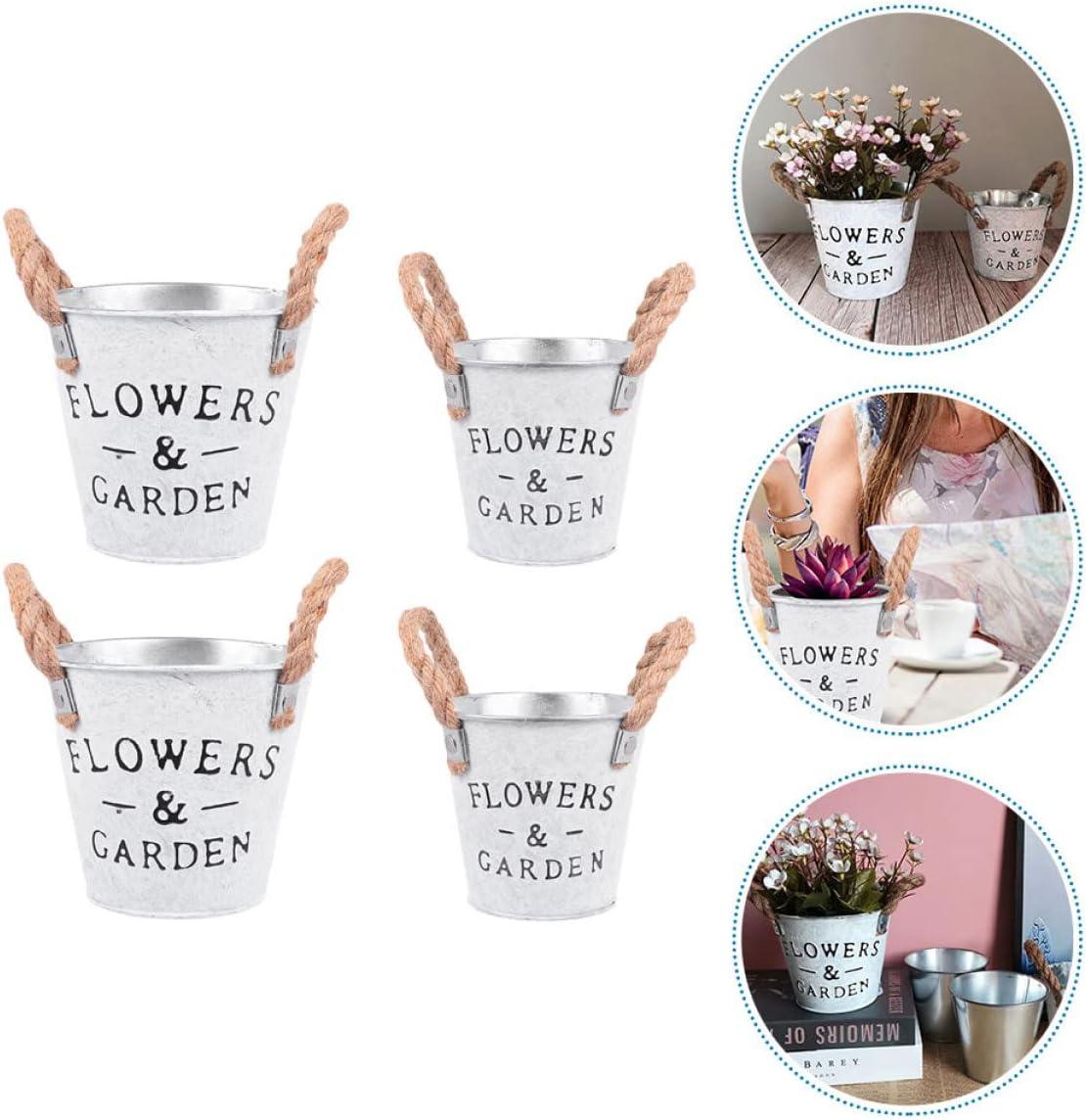 Homoyoyo 8 Pcs Tin Bucket Metal Flower Bucket The Office Desk Decor ...