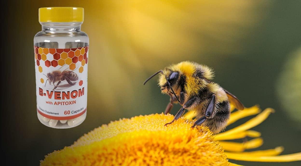 Venom Bee Venom Capsules with Glucosamine Sulfate for Joint Support ...