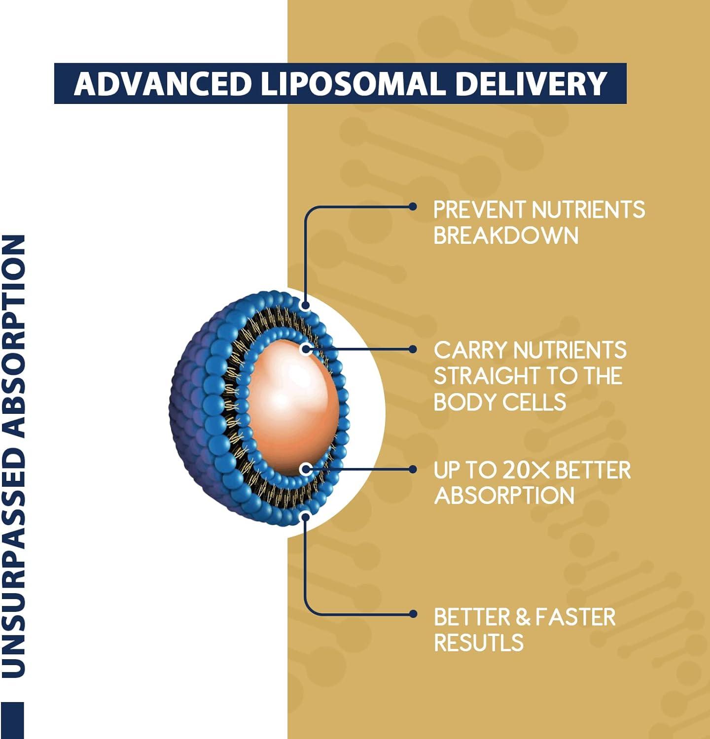 Liposomal NAD+ 500mg with TMG 250mg Softgels - Cellular Repair & Energy ...