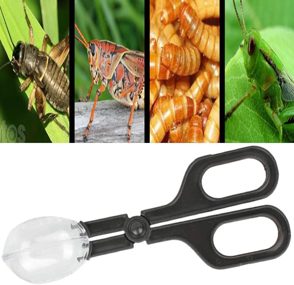 NA 3 Pieces Reptile Feeding Clip Tongs Reptile Feeding Scooper Clamp ...