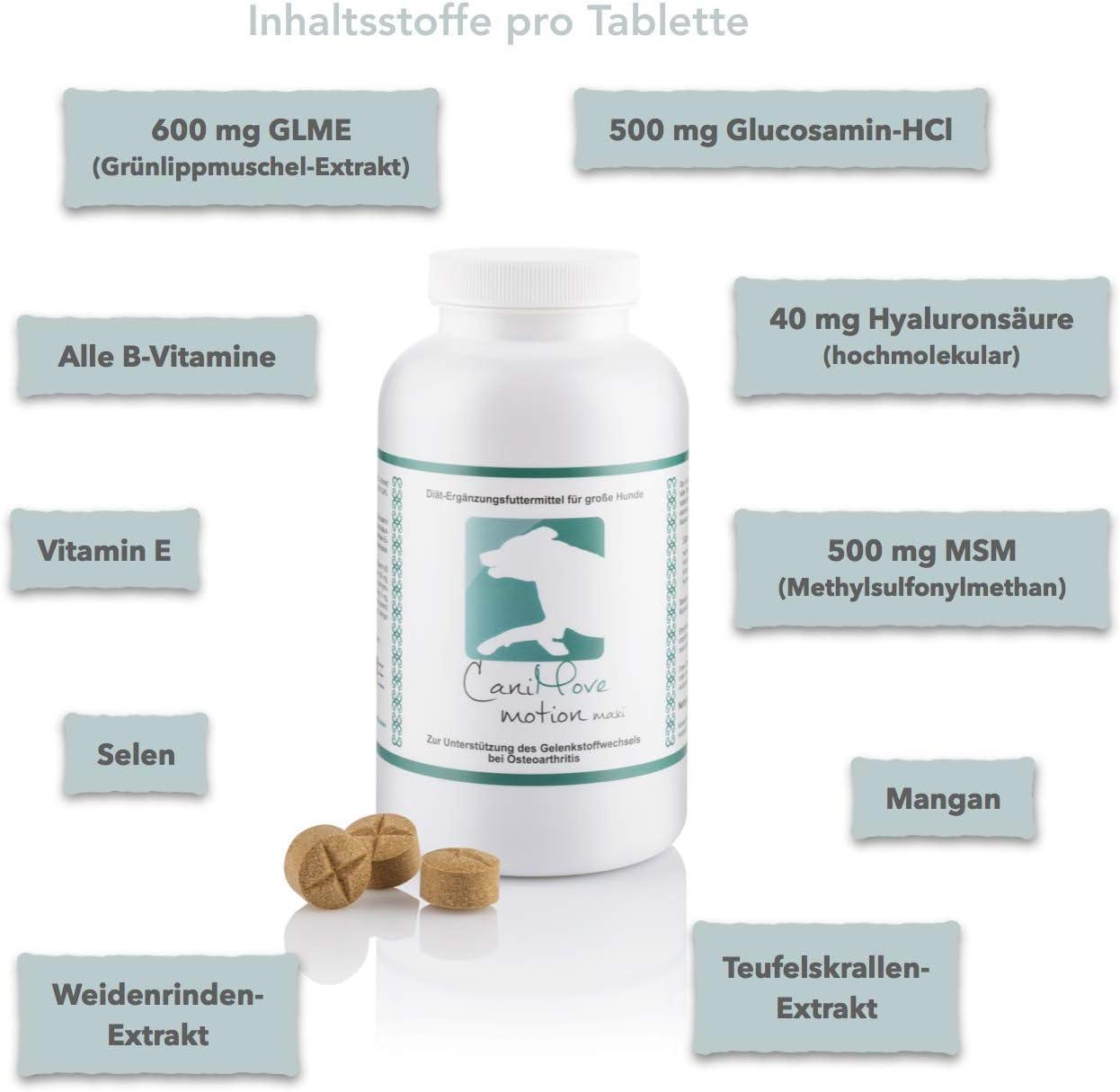 Canimove Motion Maxi Dreiererpack - 300 Tablets for Large Dogs | Joint ...