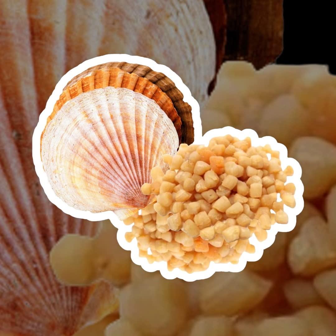 Mini Small Sun Dried Scallops Conpoy Seafood 3.2 oz. - Perfect for Soup ...