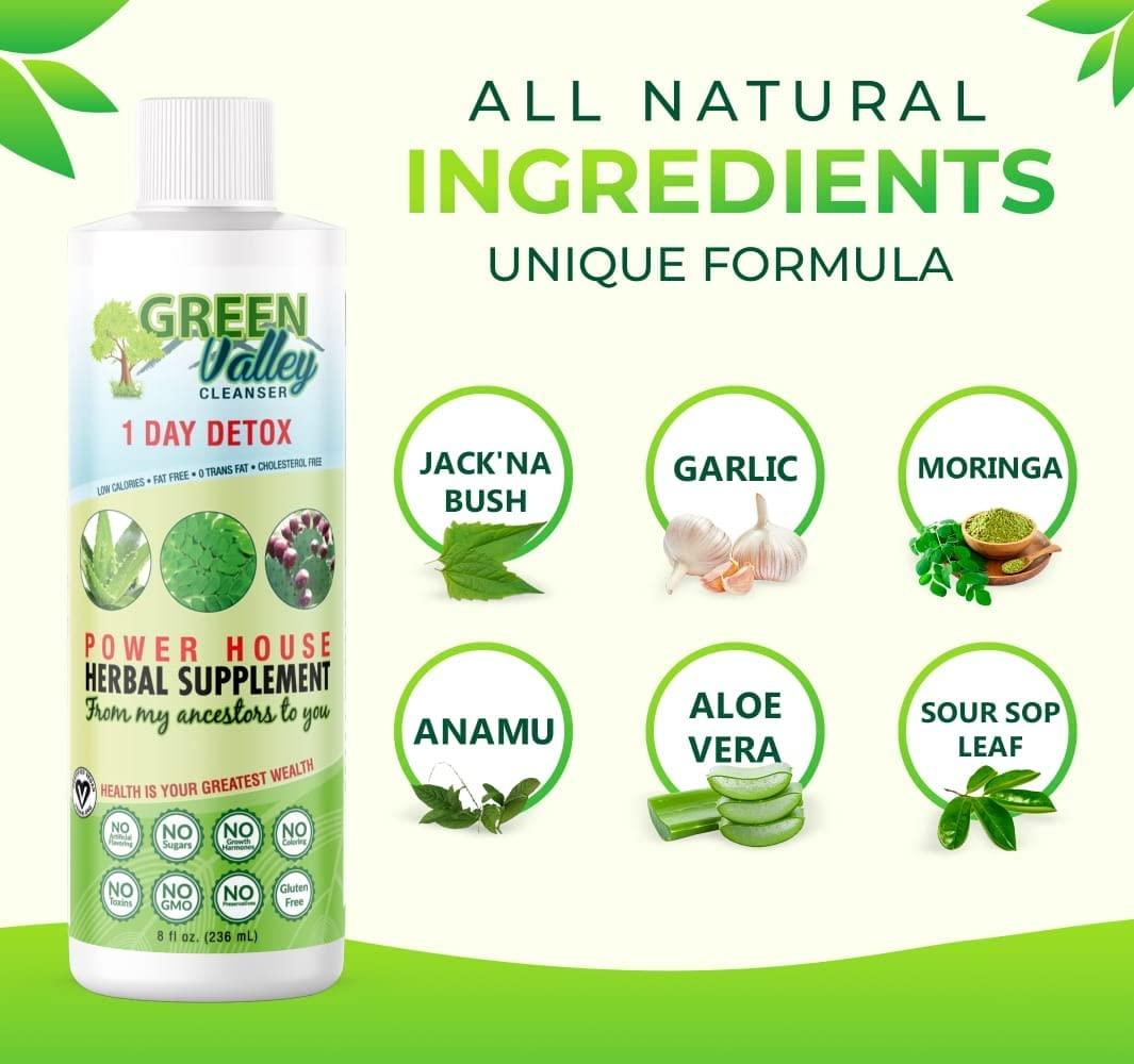 1 Day Colon Cleanse & Liver Detox | Vegan Gut Support & Energy Boost ...