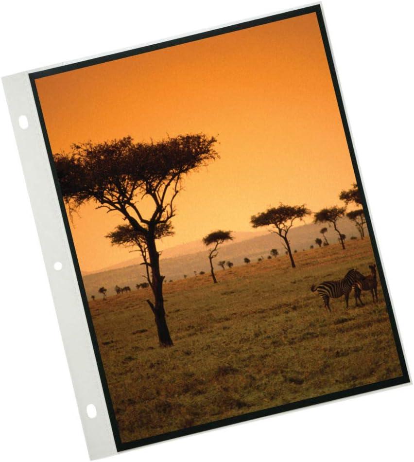 ProFolio by Itoya PolyGlass Landscape Refill Pages 14x11 - 10 Pack ...