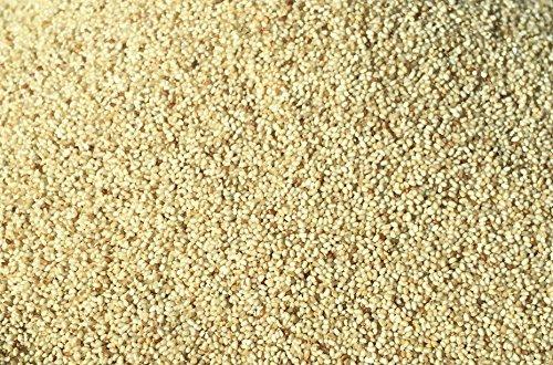 Maskal Teff Ivory Teff Grain 16 Ounce (6 pack) Ivory 1 Pound (Pack of 6 ...