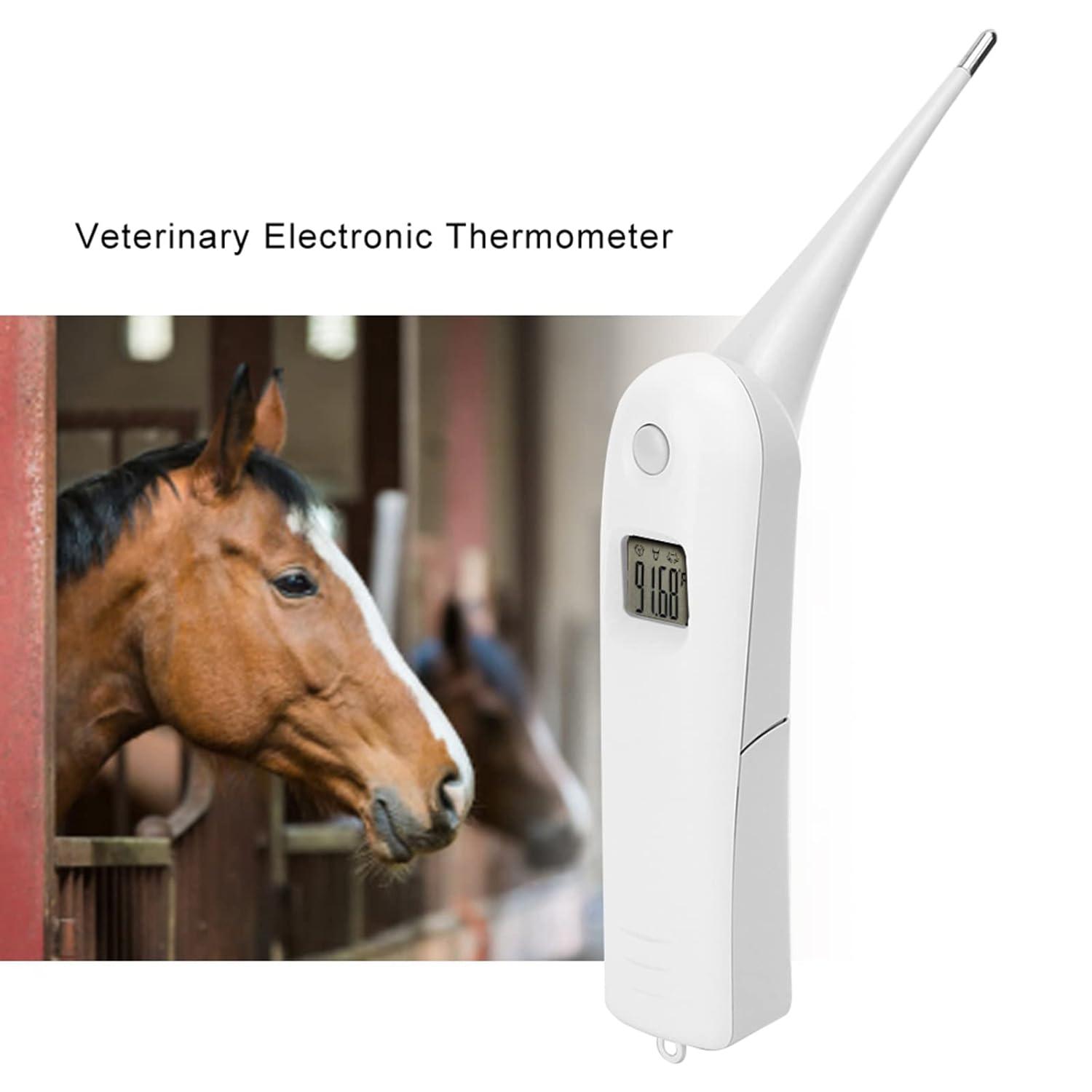 Pet Thermometer Dog Thermometer Fast Digital Veterinary Thermometer for ...