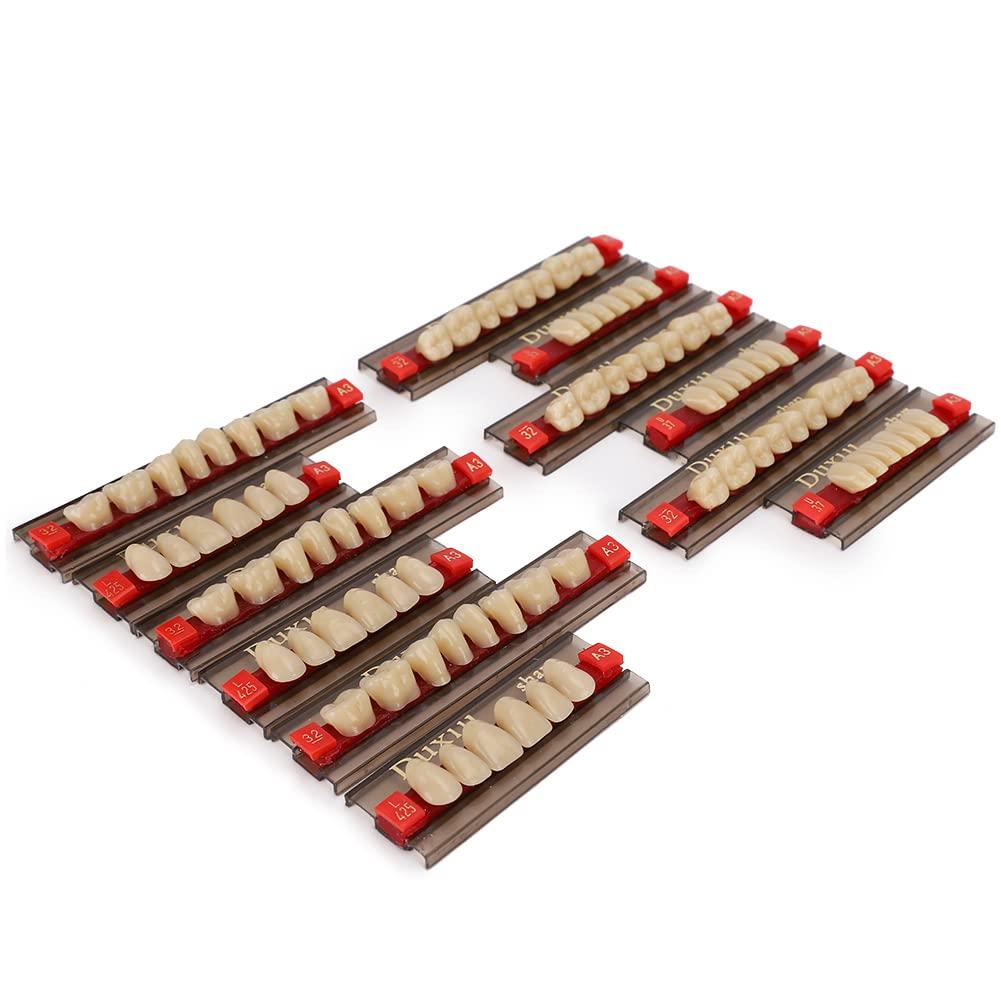 Art Resin Tooth Acrylic Resin Prosthesis - Professional DIY Dental ...