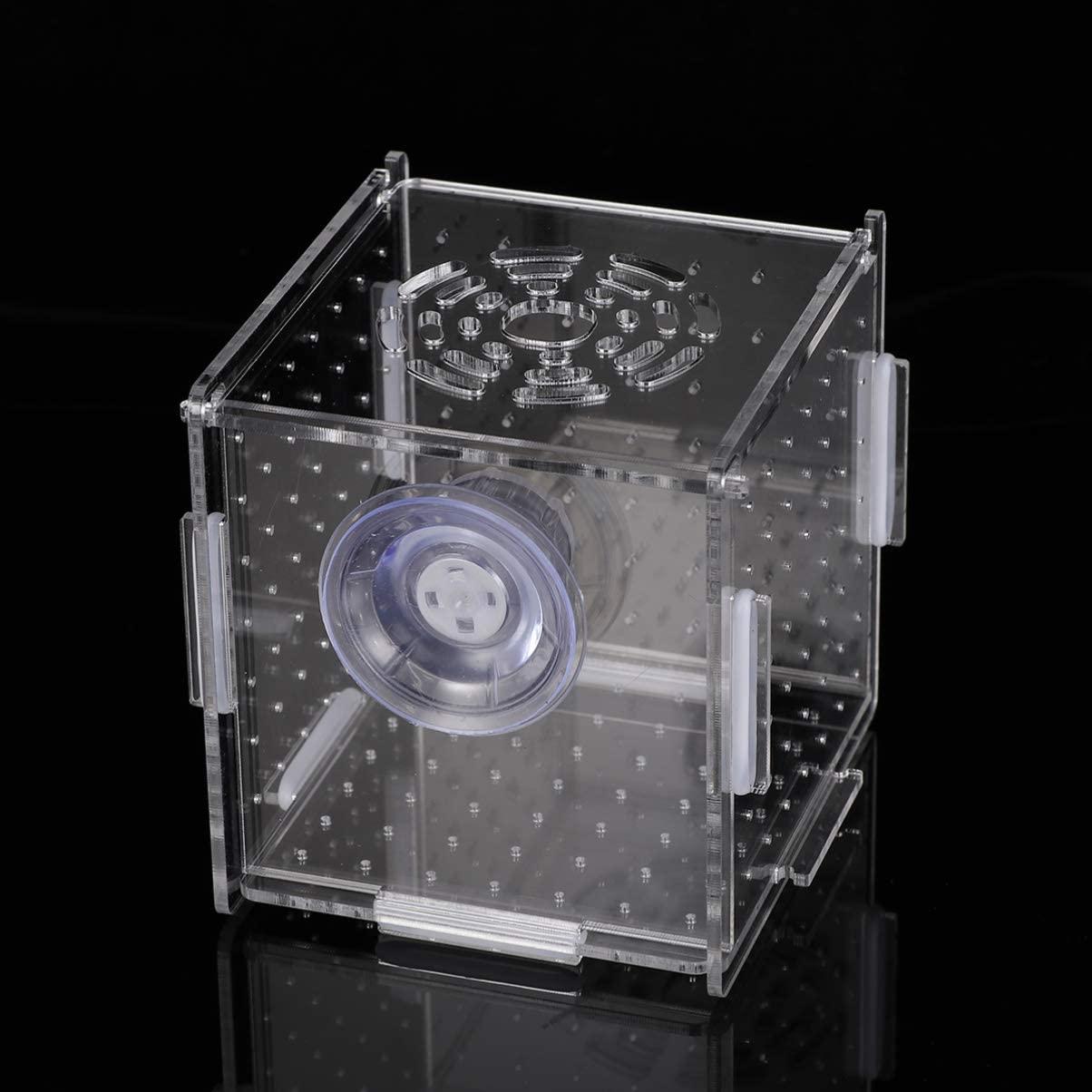 POPETPOP Fish Breeding Box-Isolation Box Breeder Hatchery Incubator ...