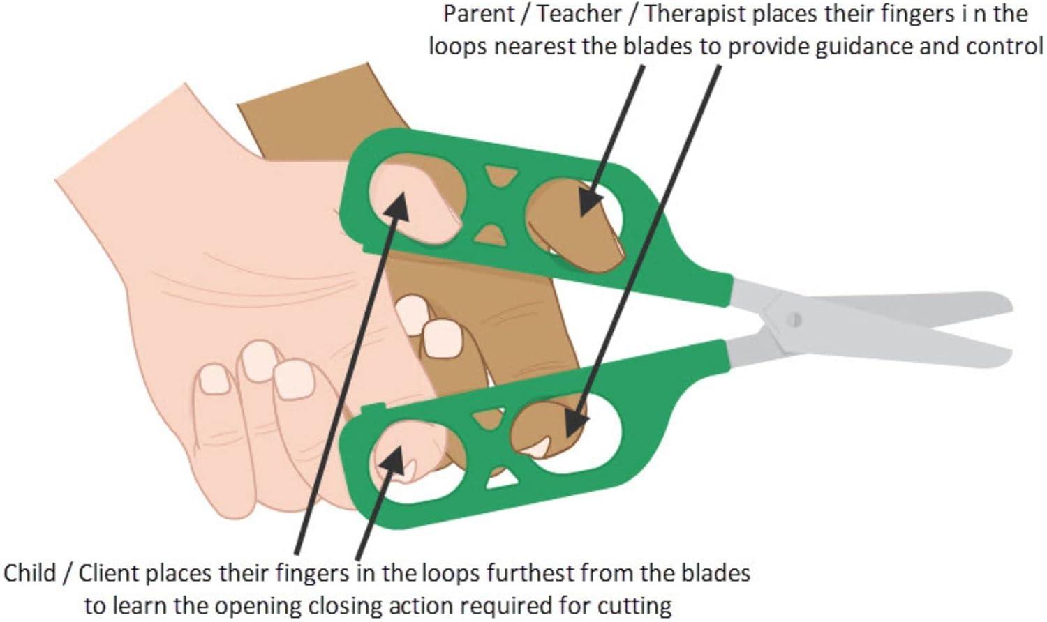PETA Easi-Grip Left Handed Dual Control Teaching Scissors - Stainless ...