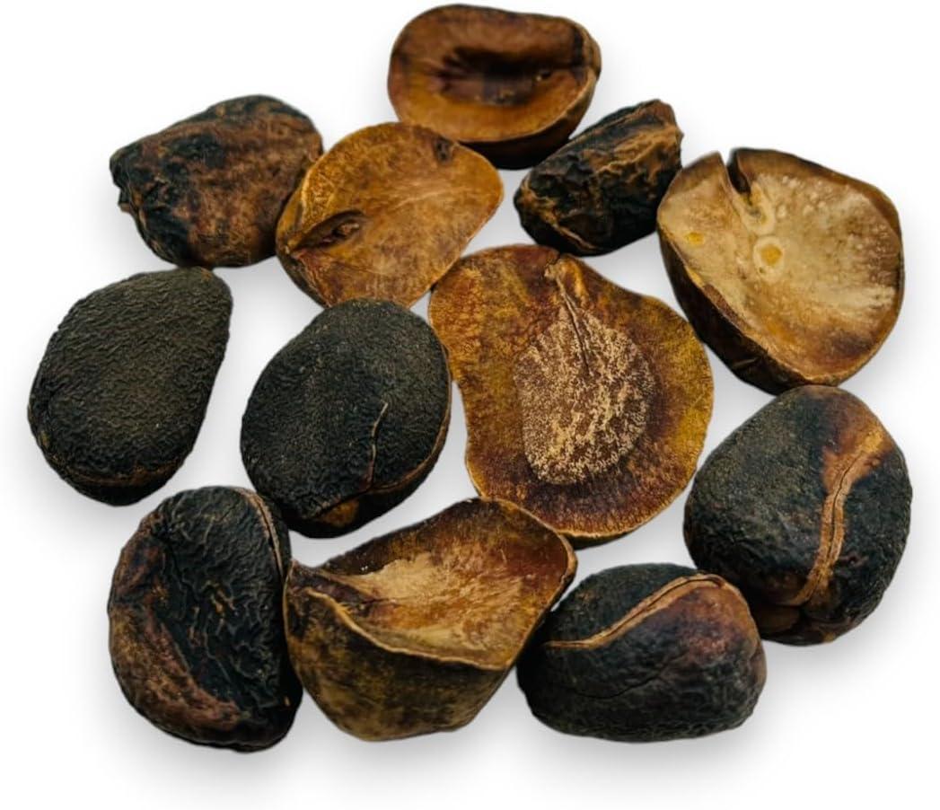 Whole Dried Kola Nuts 85g - 1 95Kg Premium Quality Cola Acuminata (85 ...