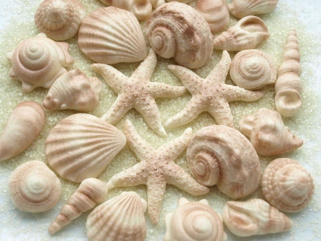 Rainbow Cake Toppers 24x Edible Sea Shells Cupcake Decorations Mermaid ...