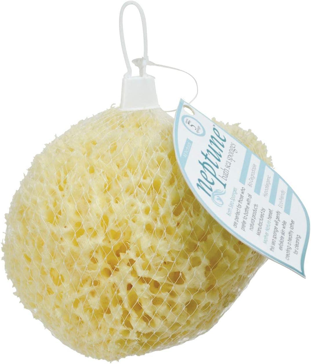 Neptune Natural Sea Wool Sponge - Large 5 Inch Honeycomb Sea Sponge ...