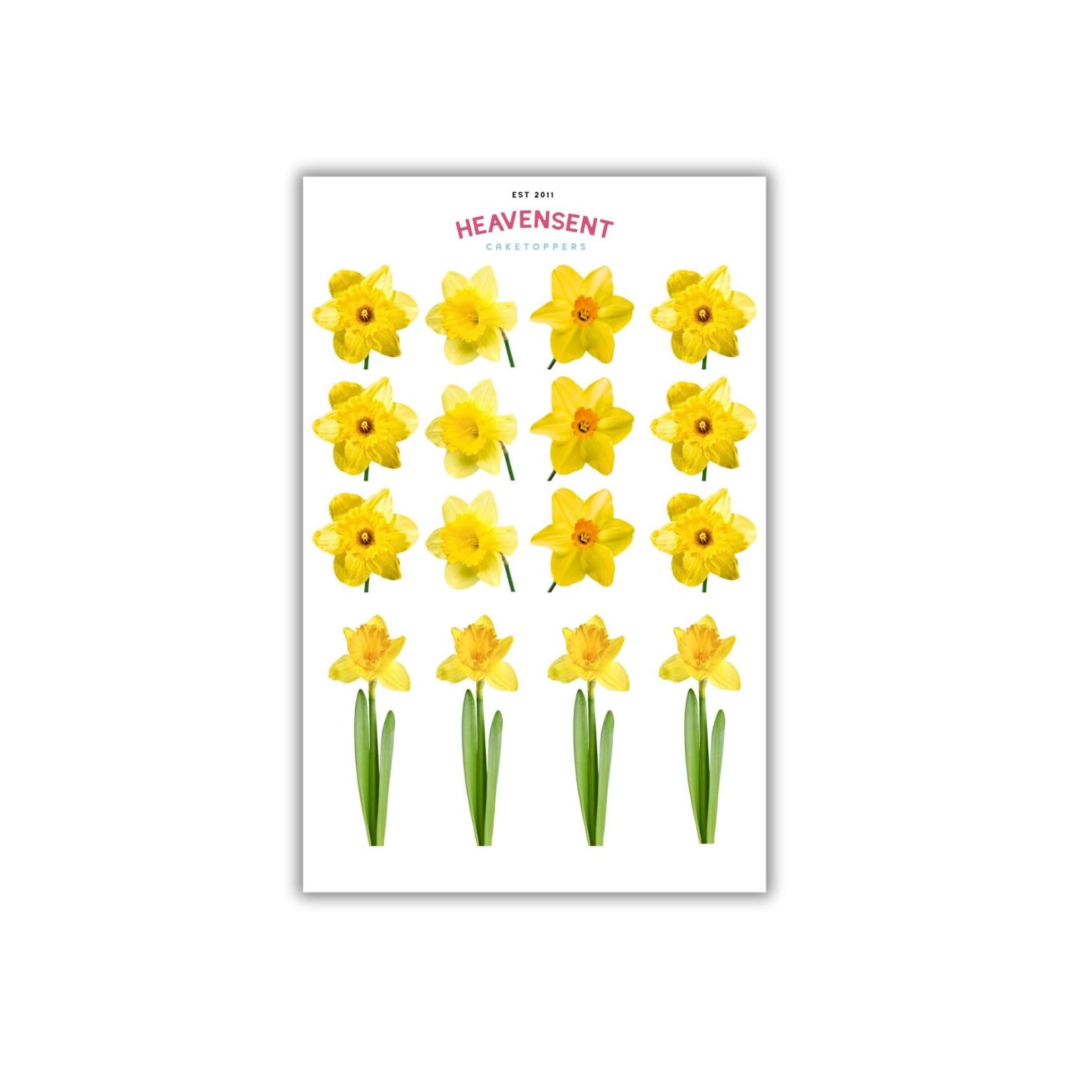 Cake Topper Edible 32 Daffodils Yellow Flowers Pre-cut Premium Thick ...
