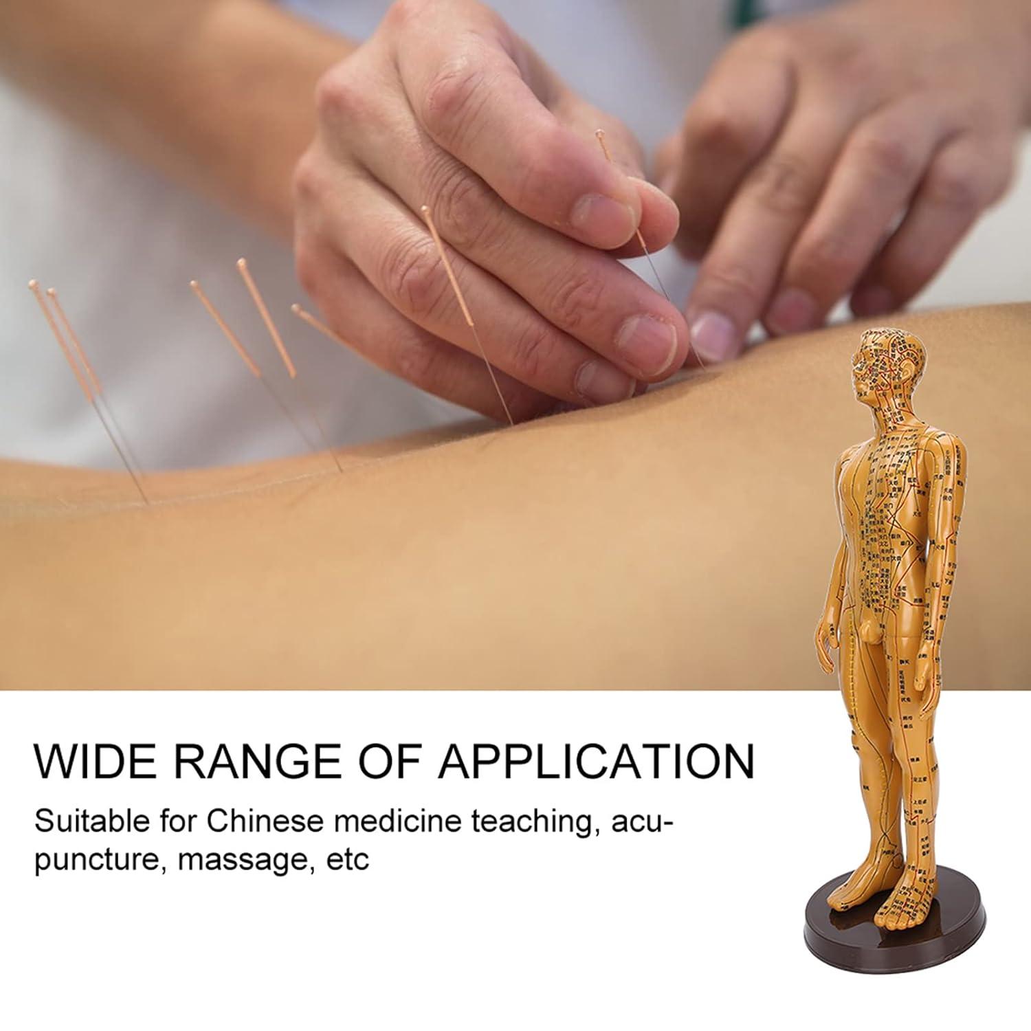 Acupuncture Model Set - Female & Male Copper Meridian Body for Chinese ...