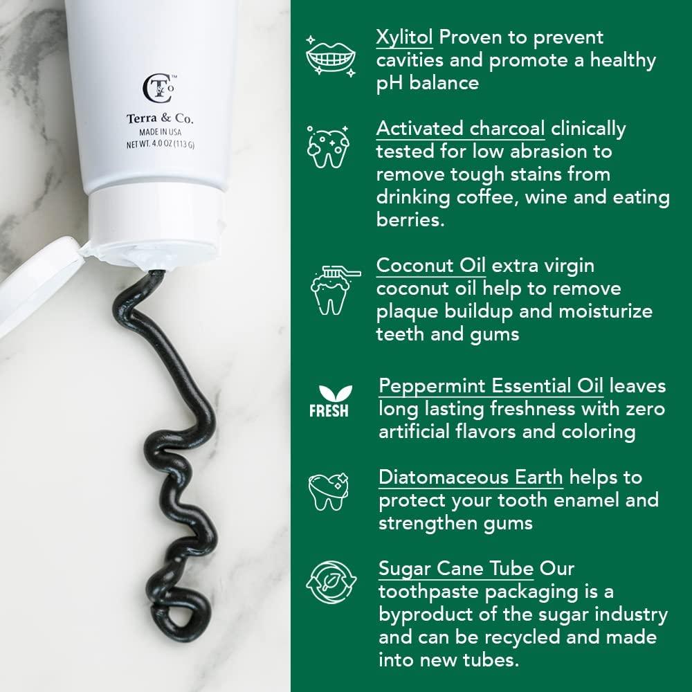 Terra & Co. Brilliant Black Toothpaste - Mint Flavor, 4 oz | Natural ...