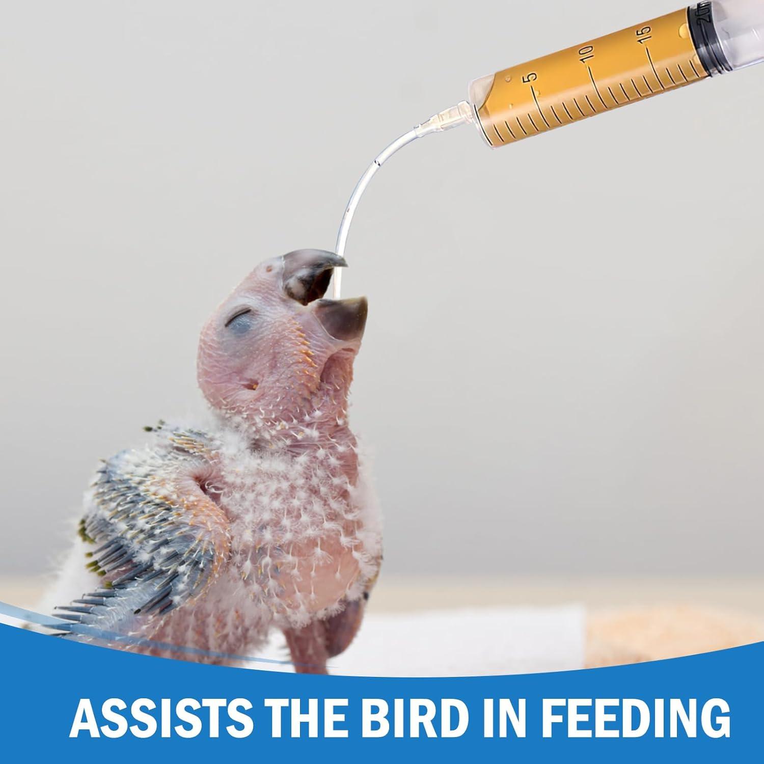 Buy 10pcs Young Birds Feed Syringe - Essential Pigeon Accessories ...