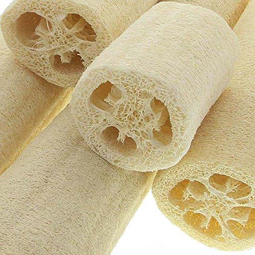 Large 44 cm Loofah Cucumber Sponge - Natural Fiber Kosmetex Loofah for ...