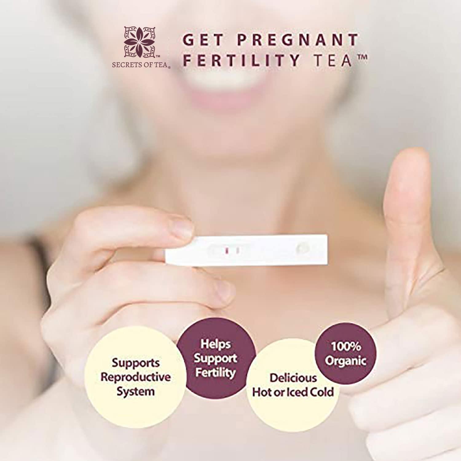 Organic Fertility Tea with Chasteberry & Red Raspberry Leaf | Aid ...