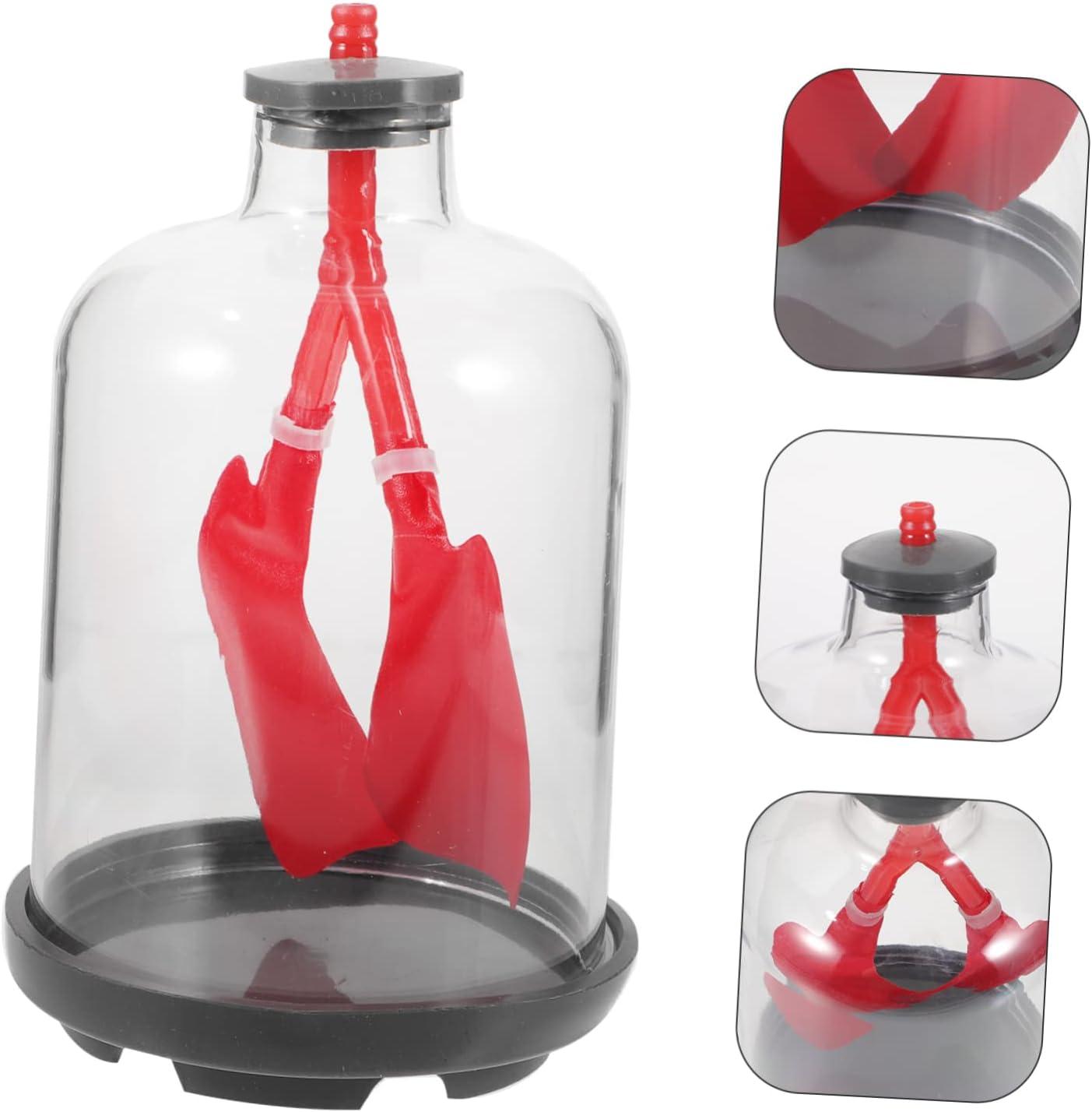 Healifty Lung Breathing Model - Sports & Work Teaching Aid | Plastic ...