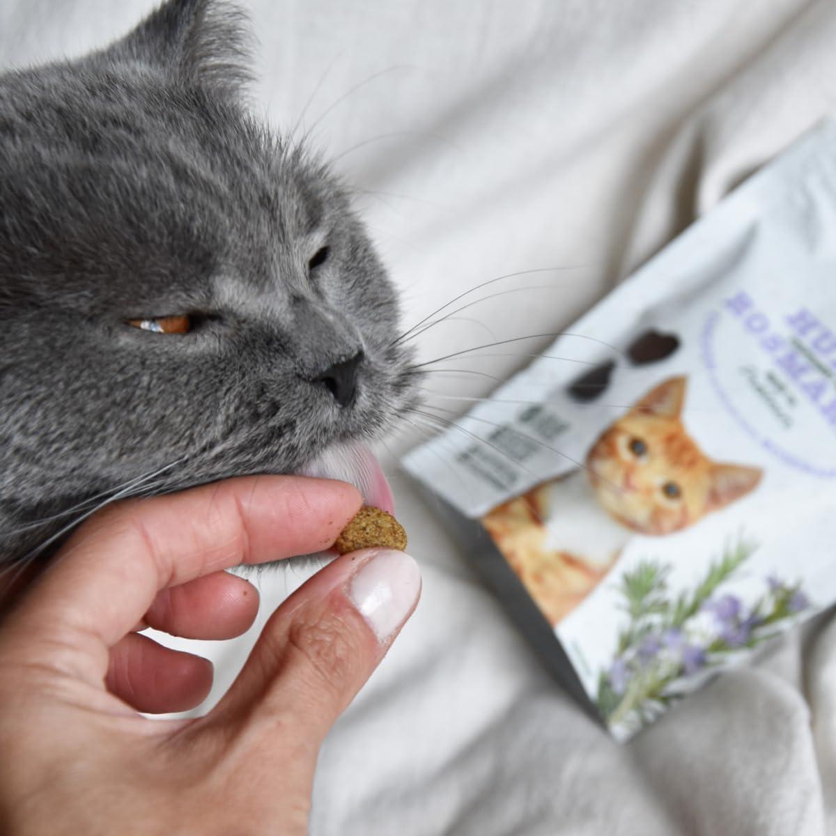 Gimcat Crunchy Snacks with Chicken & Rosemary - Protein-Rich Cat Treats ...