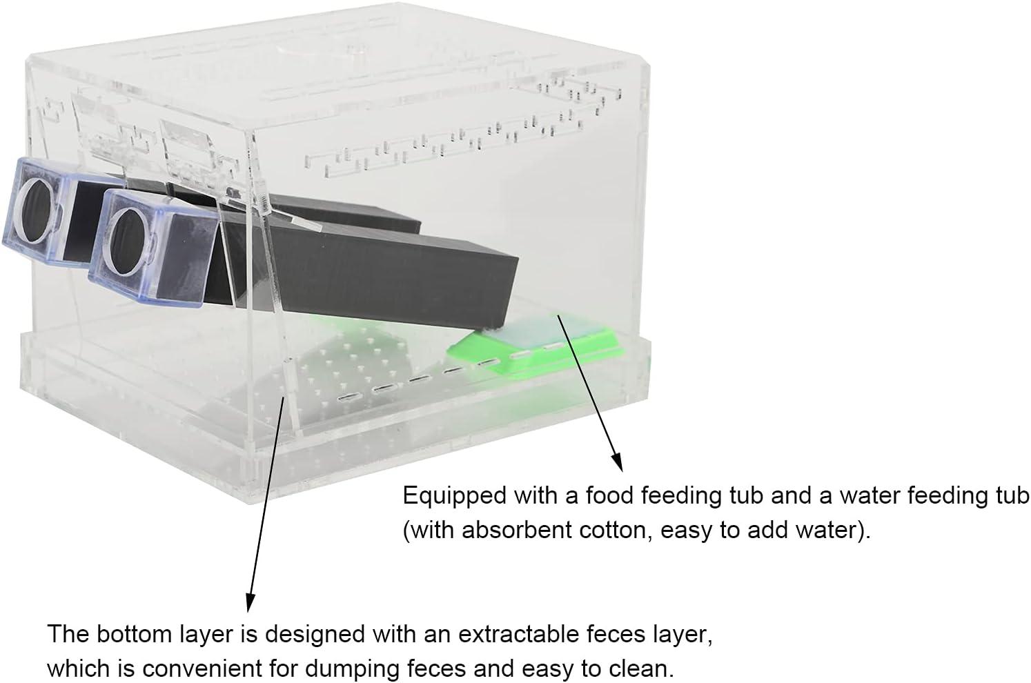Cricket Keeper Cricket Care Kit Acrylic Feeding Cricket Pen with Food ...