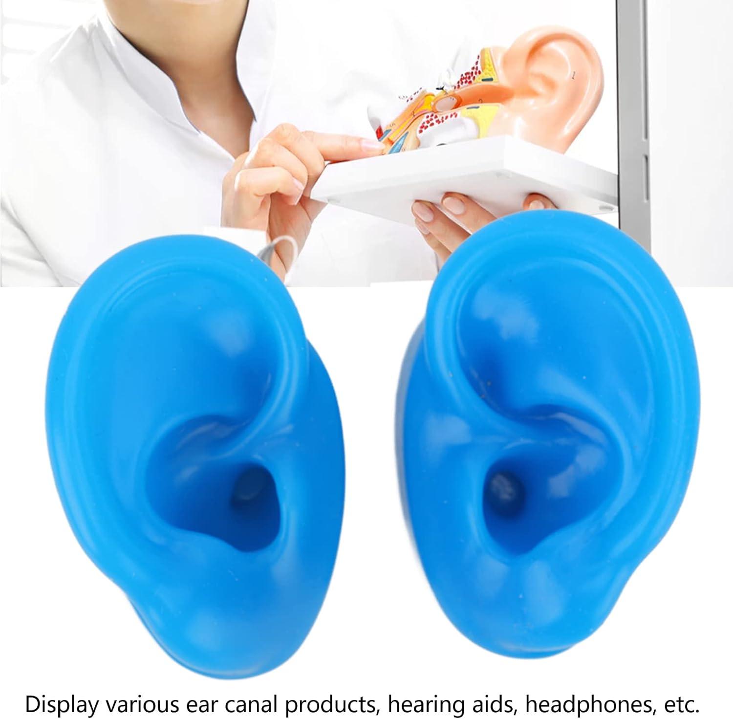 Silicone Ear Model - Waterproof & Reusable Teaching Prop for Piercing ...