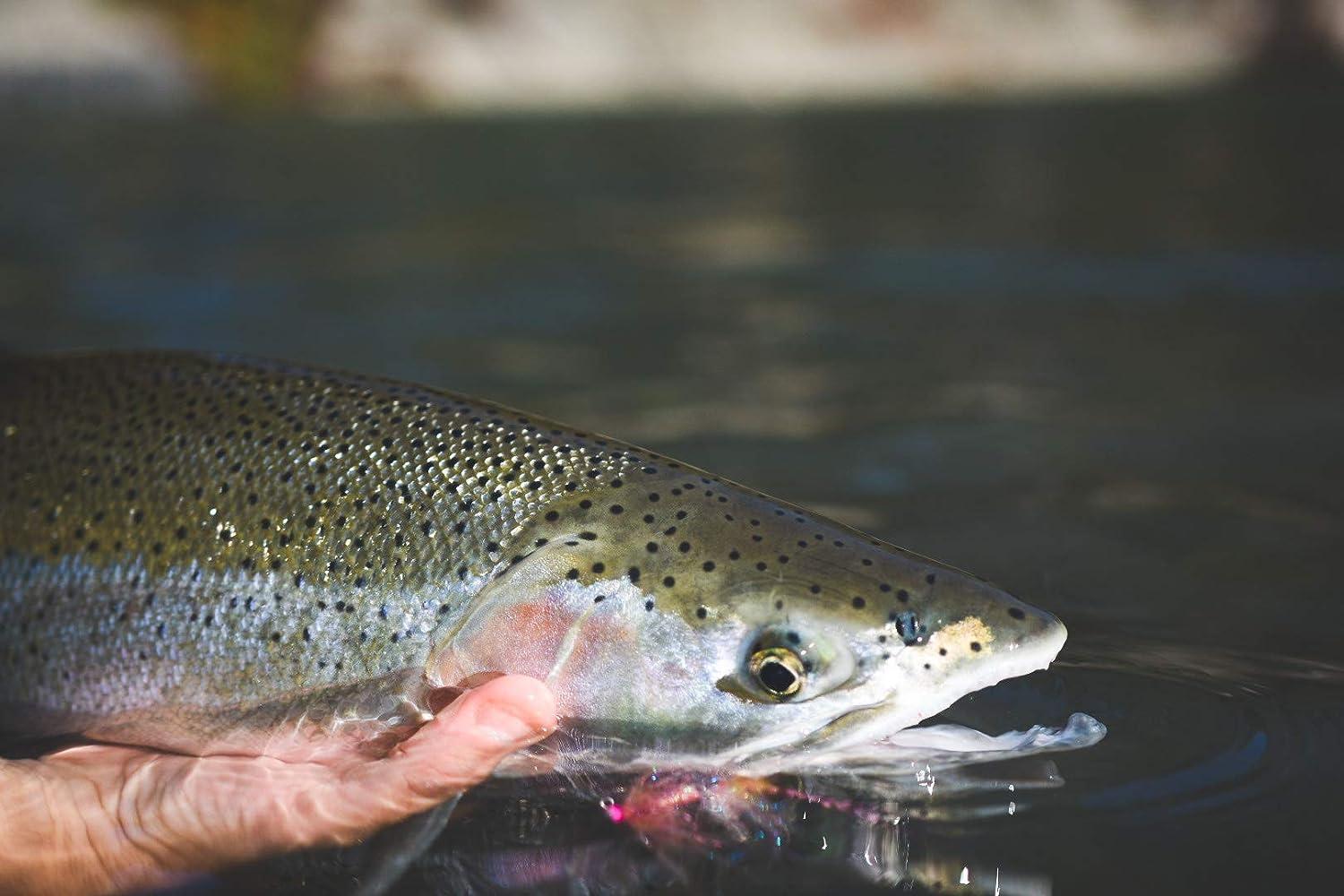 Spawn Fly Fish Articulated Shanks 9-20 mm - 180 Pack | Buy Now with ...