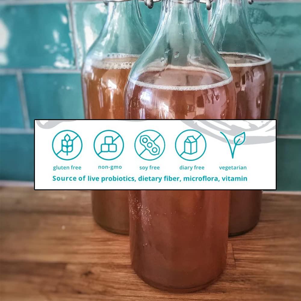 LITE SUPPLY Kombucha Tea Powder Sticks - Lemon Ginger Probiotic Drink ...