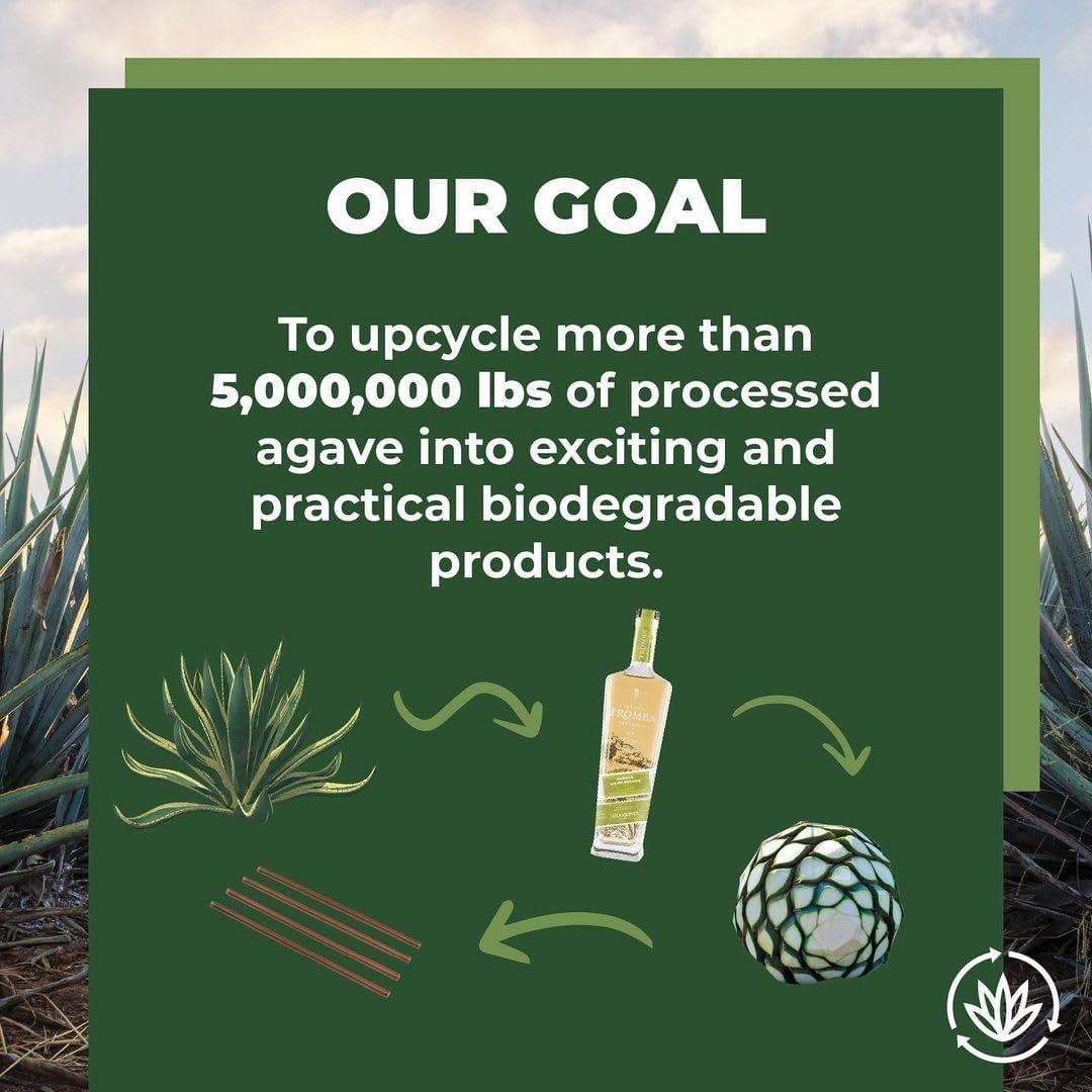 Sustainable Agave Co - Agave Fiber Cups - Plastic-Free Biodegradable ...