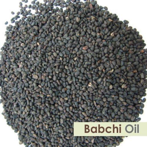 Babchi Carrier Oil - 100% Pure Psoralea Corylifolia, Cold Pressed, 15ML ...