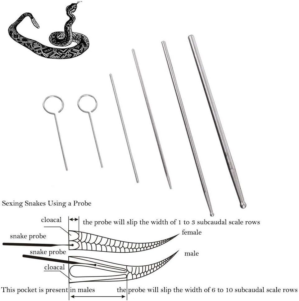 PETSTARCX 6 Pack Round Ball Tip Reptiles Snake Probe Portable Probe Kit ...