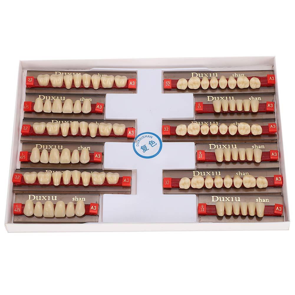Art Resin Tooth Acrylic Resin Prosthesis - Professional DIY Dental ...