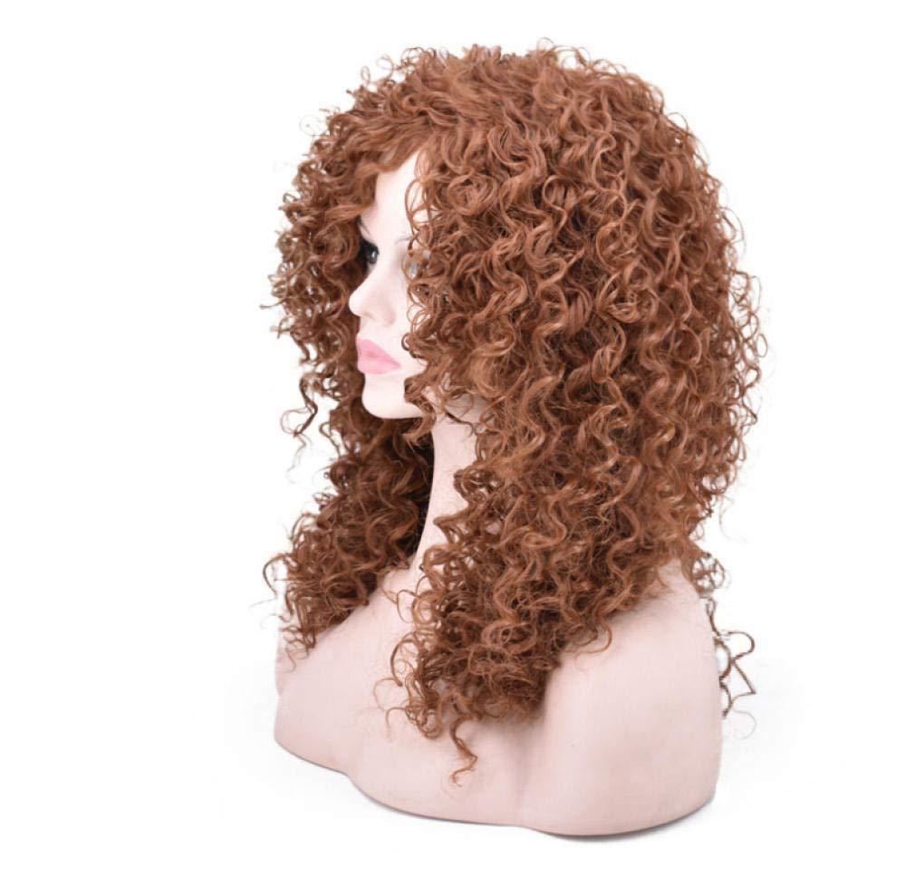 BGHJUE Long Natural Synthetic Wig for Women - Side Parting Highlighted ...