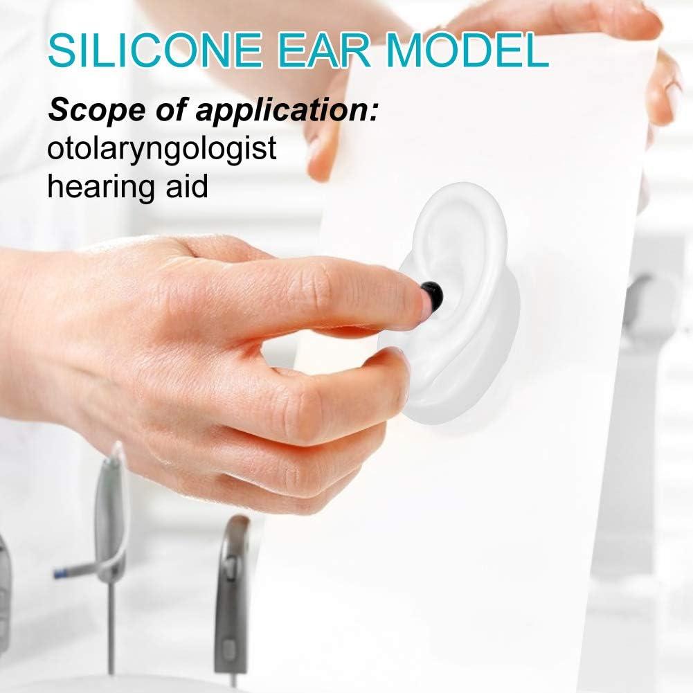 Silicone Ear Model - Realistic Artificial Ear for Hearing Aids Display ...